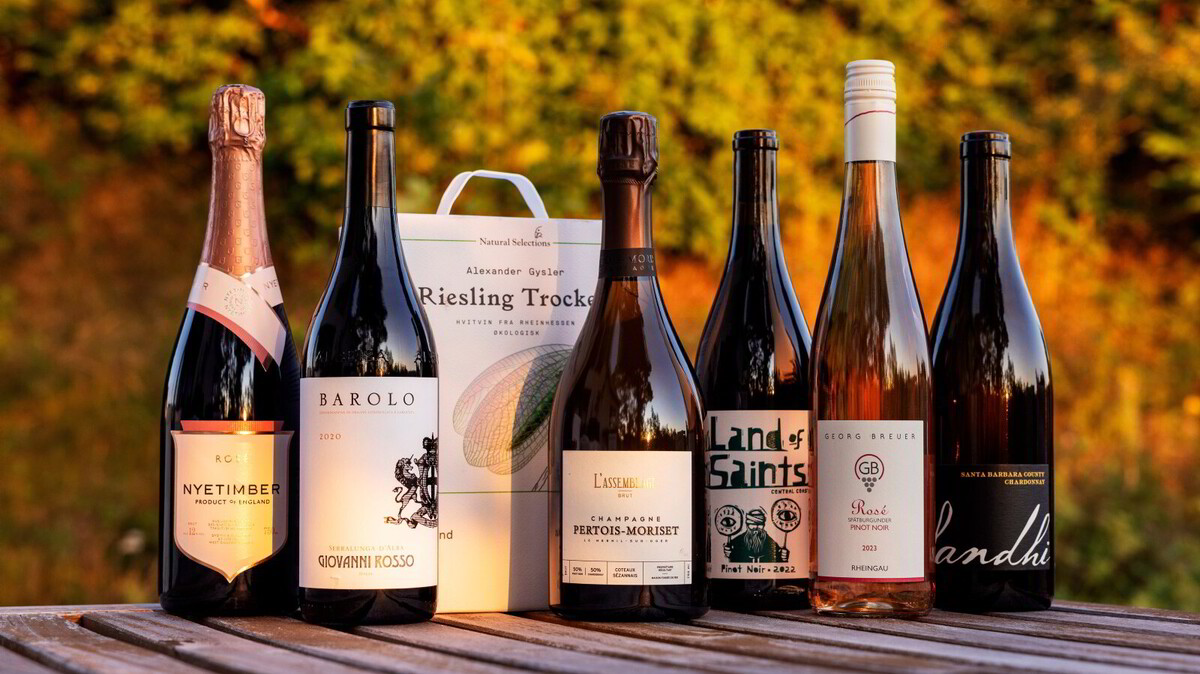 Gode viner fra polets basisutvalg. (+) | DN