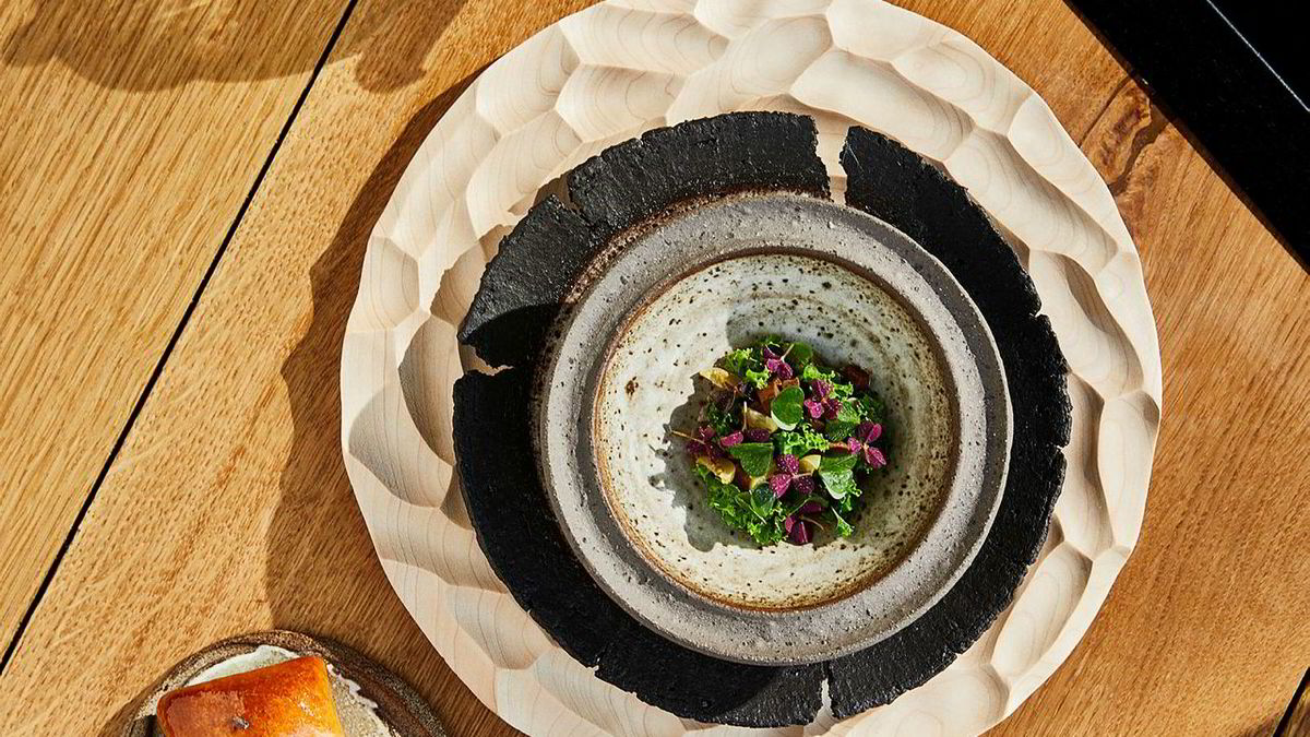 Restaurantanmeldelse: Nye Maaemo, Oslo | DN