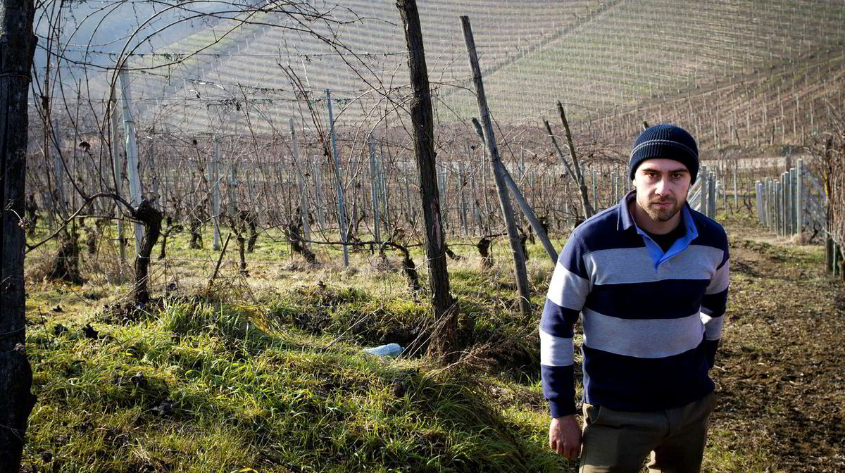 Luca Roagna 2014 | DN