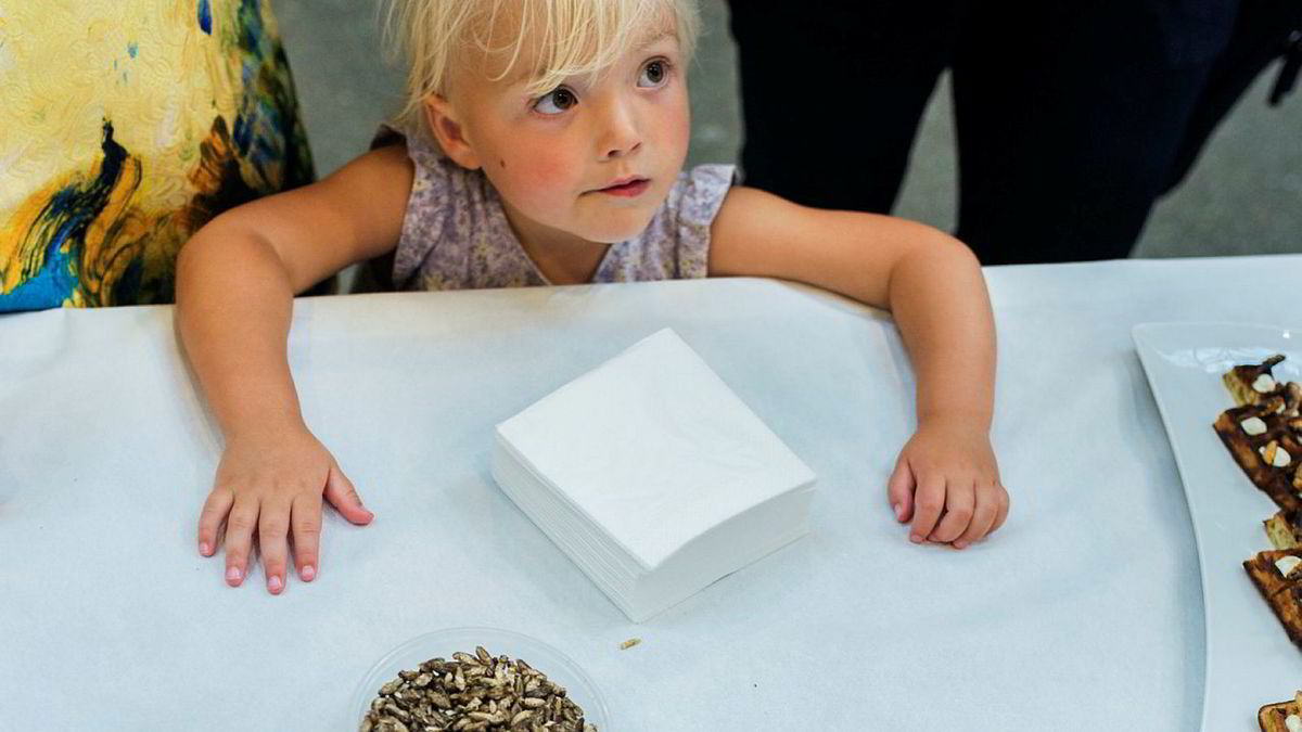 Økologisk barnemat, probiotika, sunne barn, paleo, tradisjonskost og ...