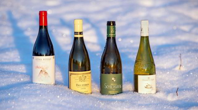 Test av januarslippet på Vinmonopolet (DN+) | DN