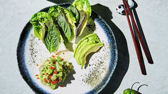 Slik lager du ceviche av kveite med maischips og avokado | DN