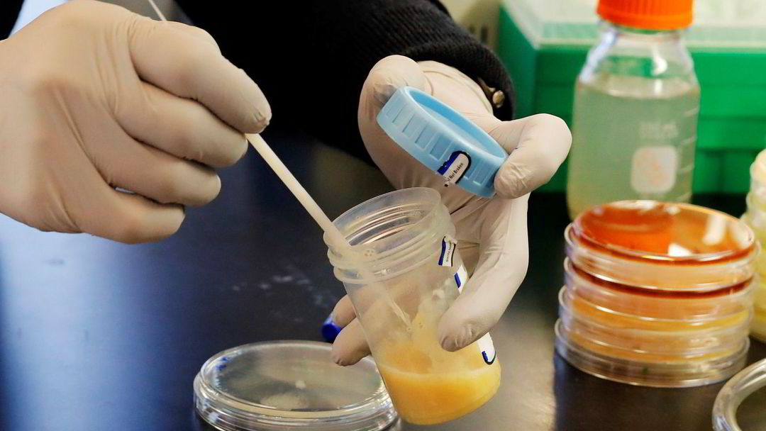 Dødelig soppinfeksjon setter skrekk i eksperter (+) | DN