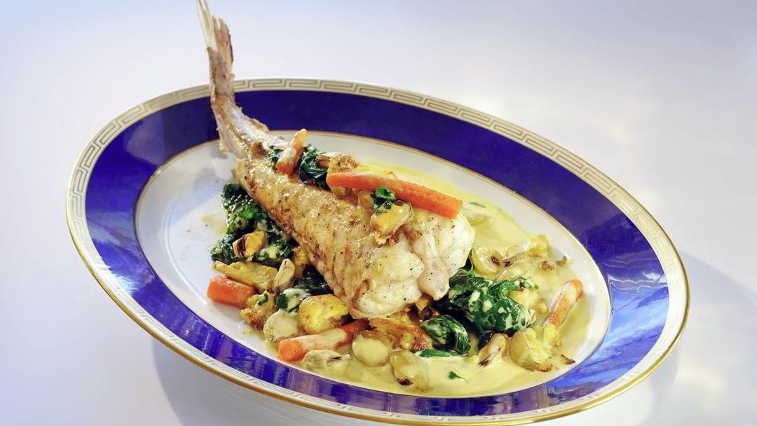 Breiflabb over alt | DN