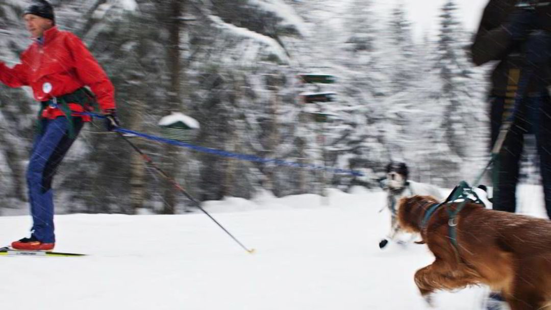 Bikkjekamp om skisporet | DN
