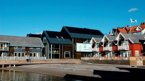 Odd Rune Austgulen - Emneside | DN