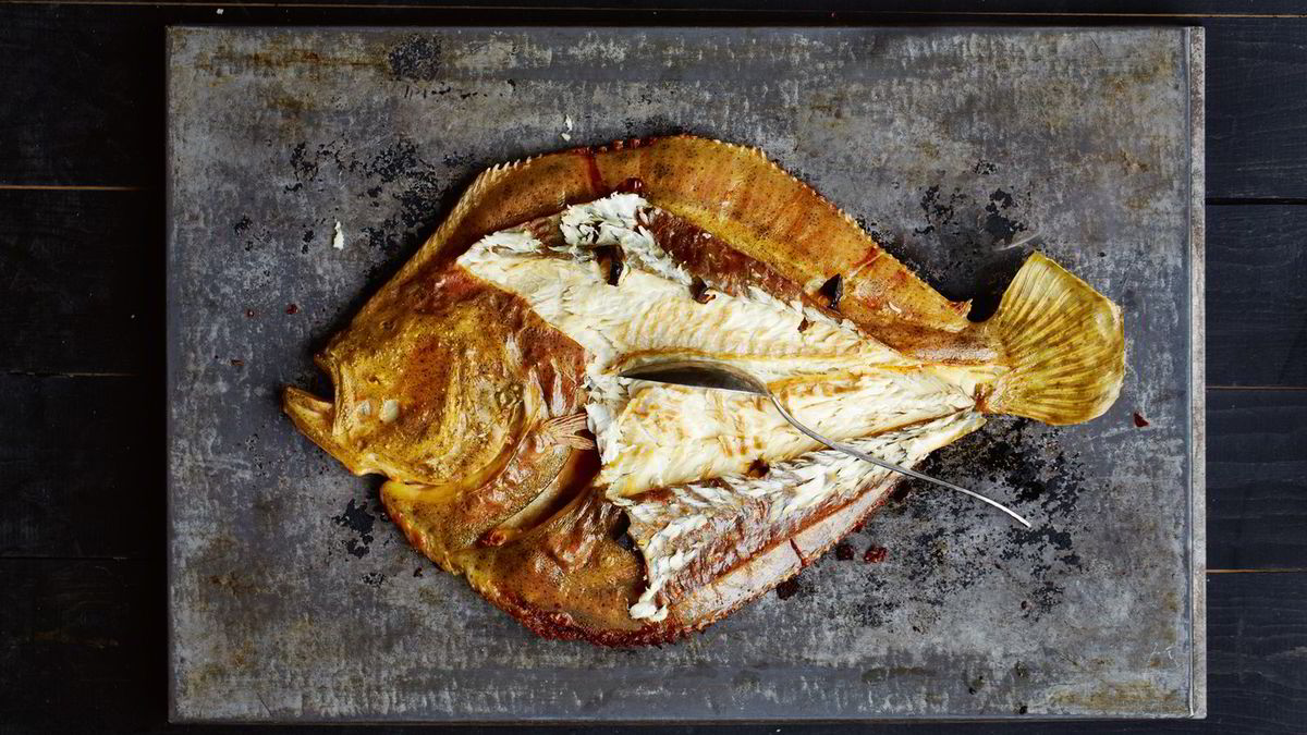 Hvite viner fra Burgund til sommerens hvite fisk | DN