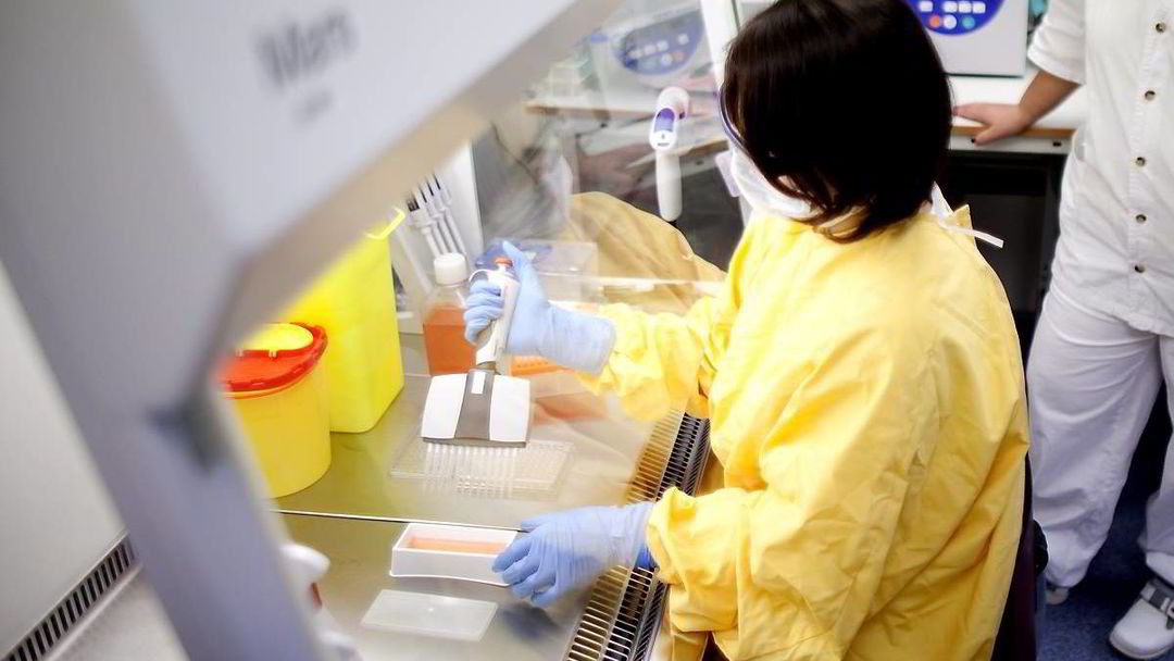 Familie innside-siktet i Bionor | DN