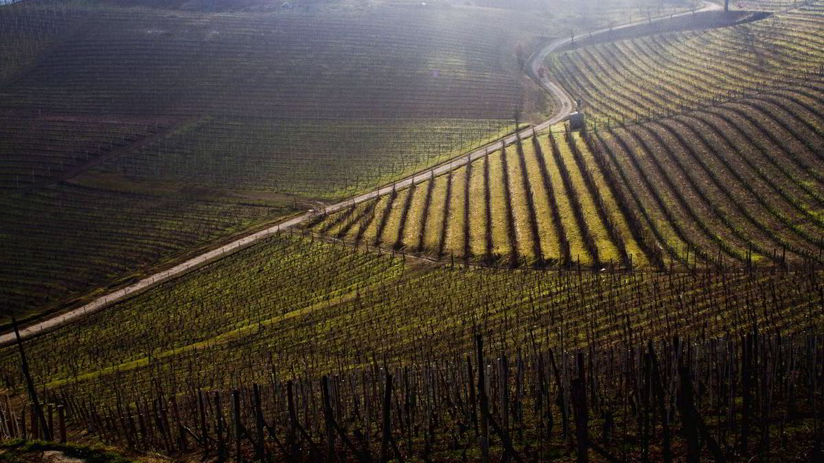 Luca Roagna 2011 | DN