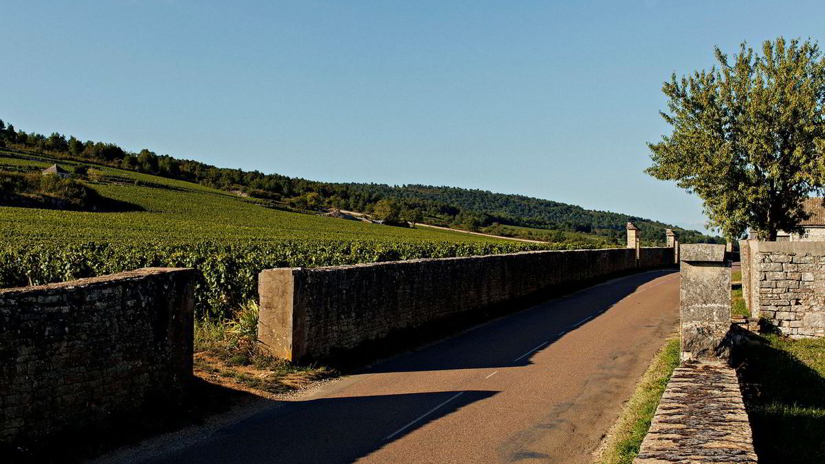 Vinnyheter fra Burgund i september | DN