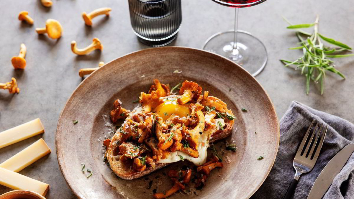 Kantarell på brød – med riktig drikke til. (+) | DN