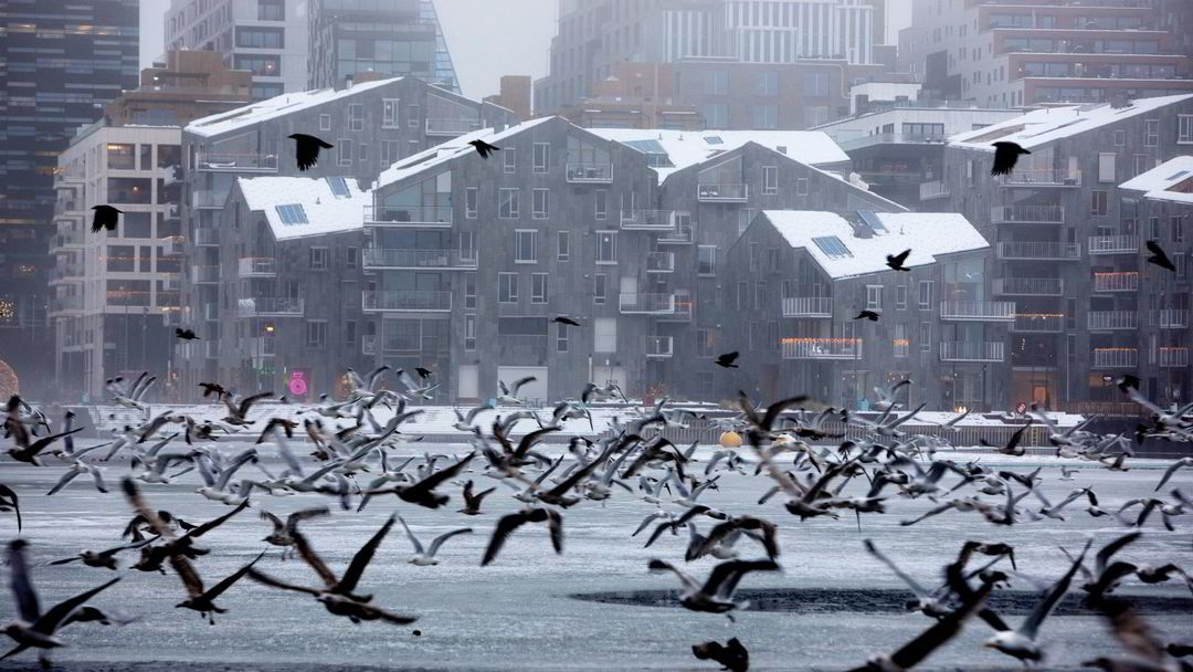 SSB-prognose: Rentetopp på tre prosent i starten av 2023 | DN