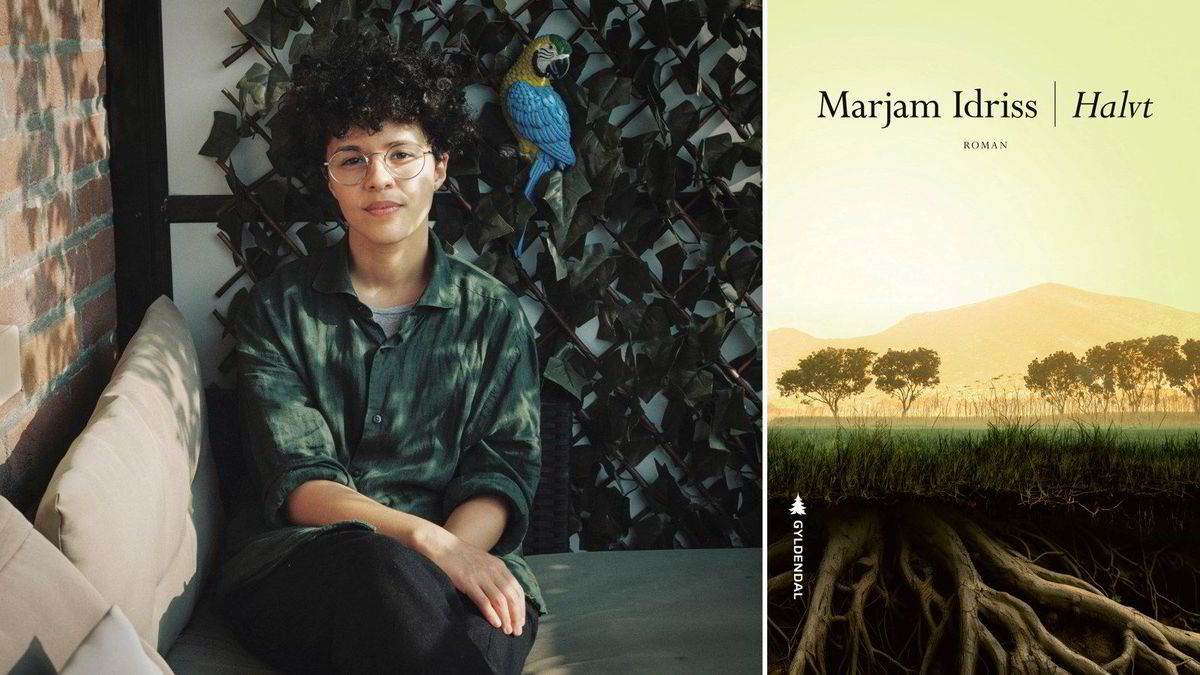 Anmeldelse av romanen «Halvt» av Marjam Idriss. (+) | DN