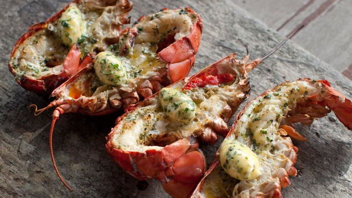 Oppskrift på grillet hummer med estragonsmør av Ørjan Johannessen | DN