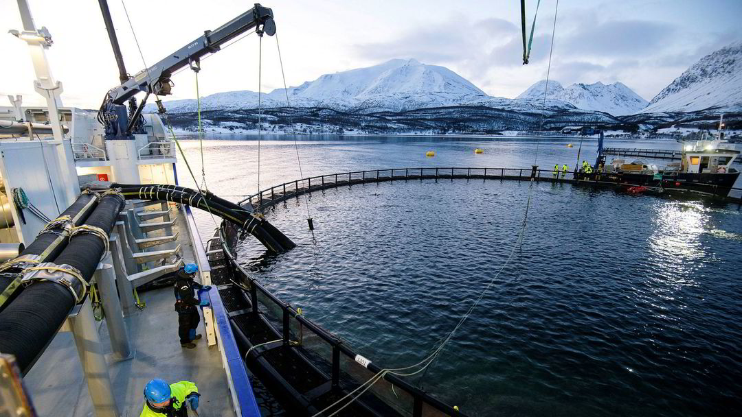 Færre går konkurs særlig i vest og nord | DN