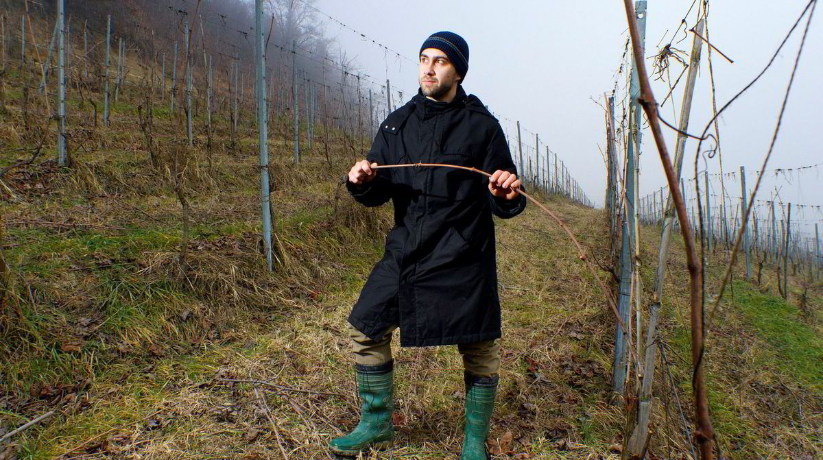 Luca Roagnas viner fra 2013 | DN