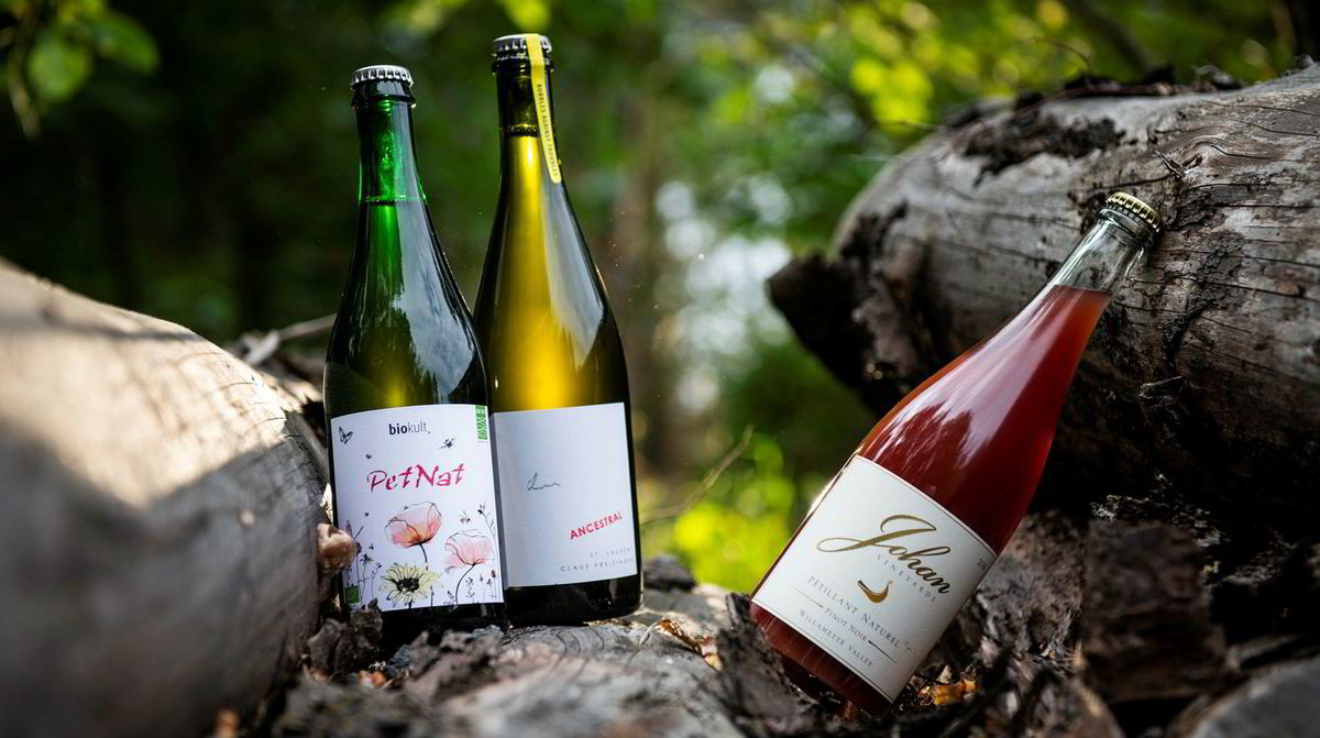 Test av pet nat | DN