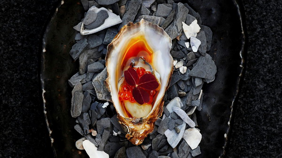 Vladimir Pak på Omakase deler sin oppskrift på østers med tomatisert ponzu og kaviar. (+) | DN