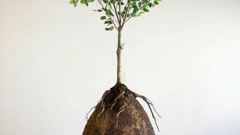 Design - Emneside | DN