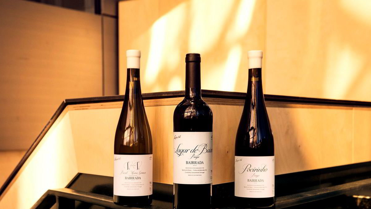 Vin fra Dirk Niepoort i Bairrada i Portugal | DN