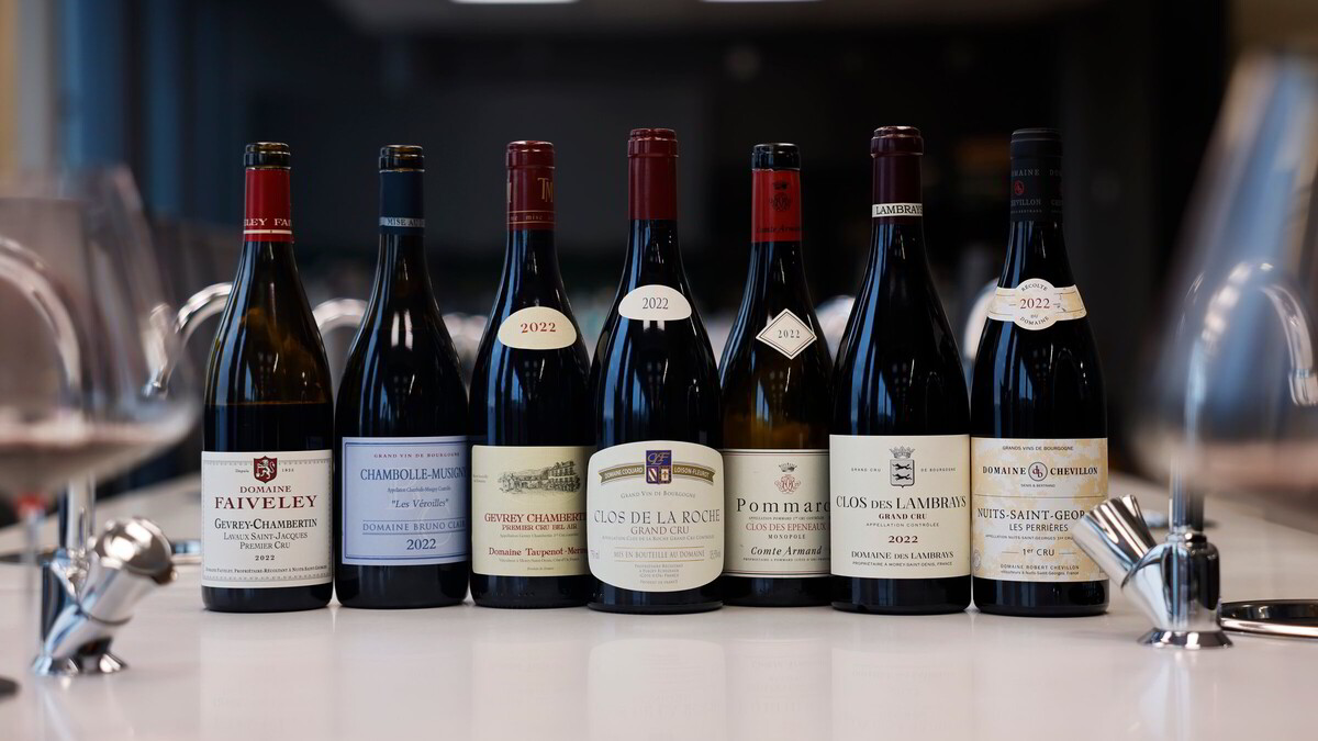 Test av 140 viner fra Polets burgundslipp 2025 (+) | DN