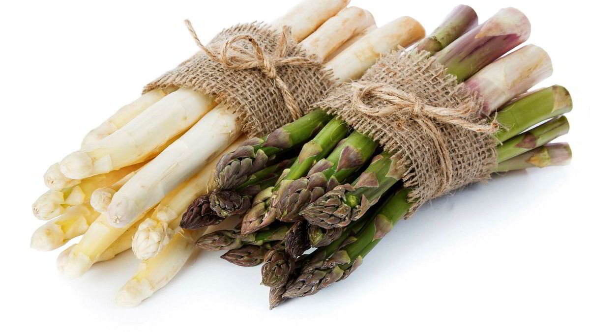 Vin til asparges | DN