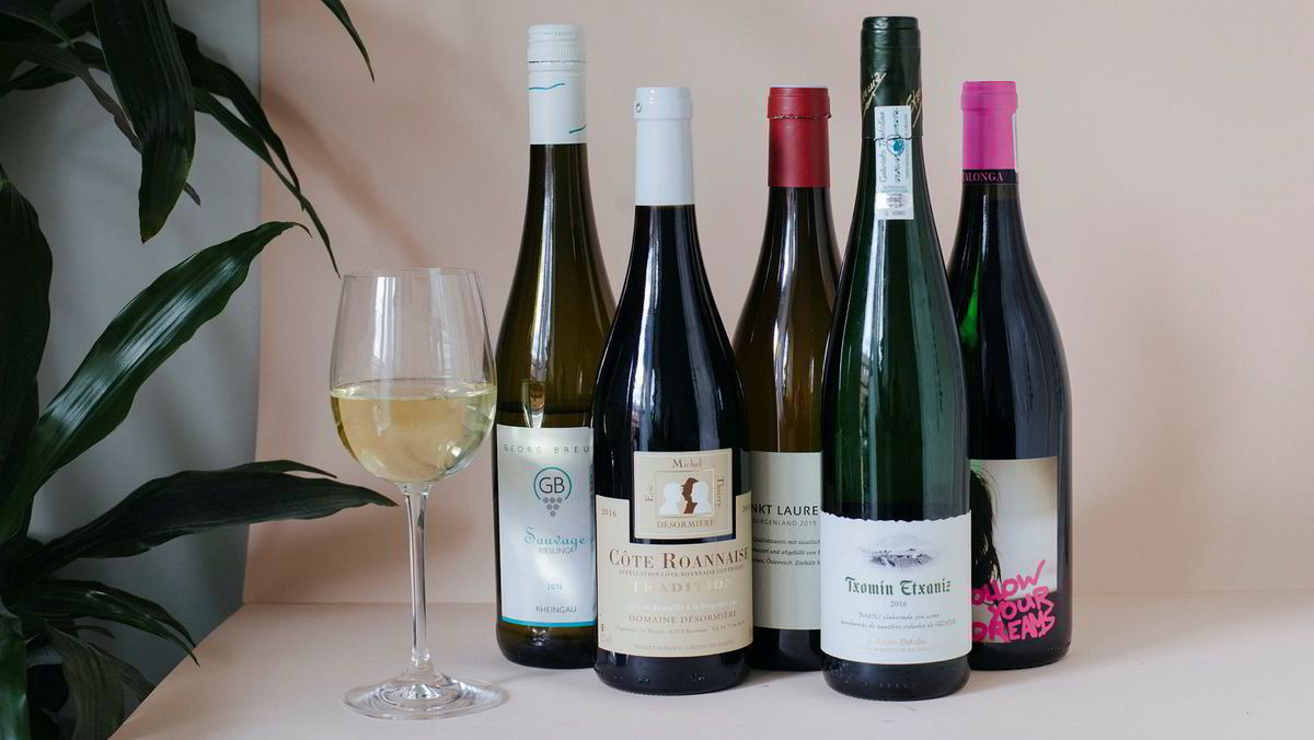 Viner med lav alkoholprosent | DN