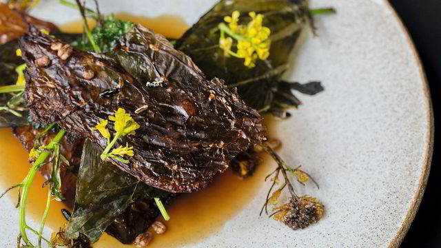 Oppskrift på brissel med grønnkål | DN