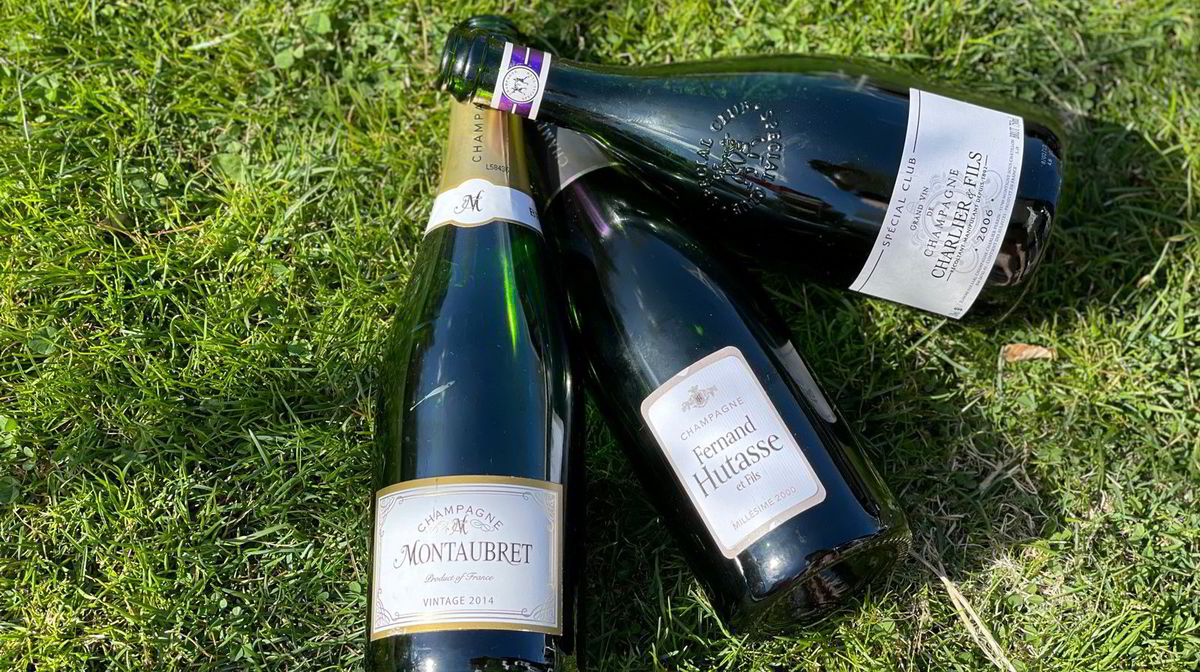 Test av 80 musserende viner på maislippet (+) | DN